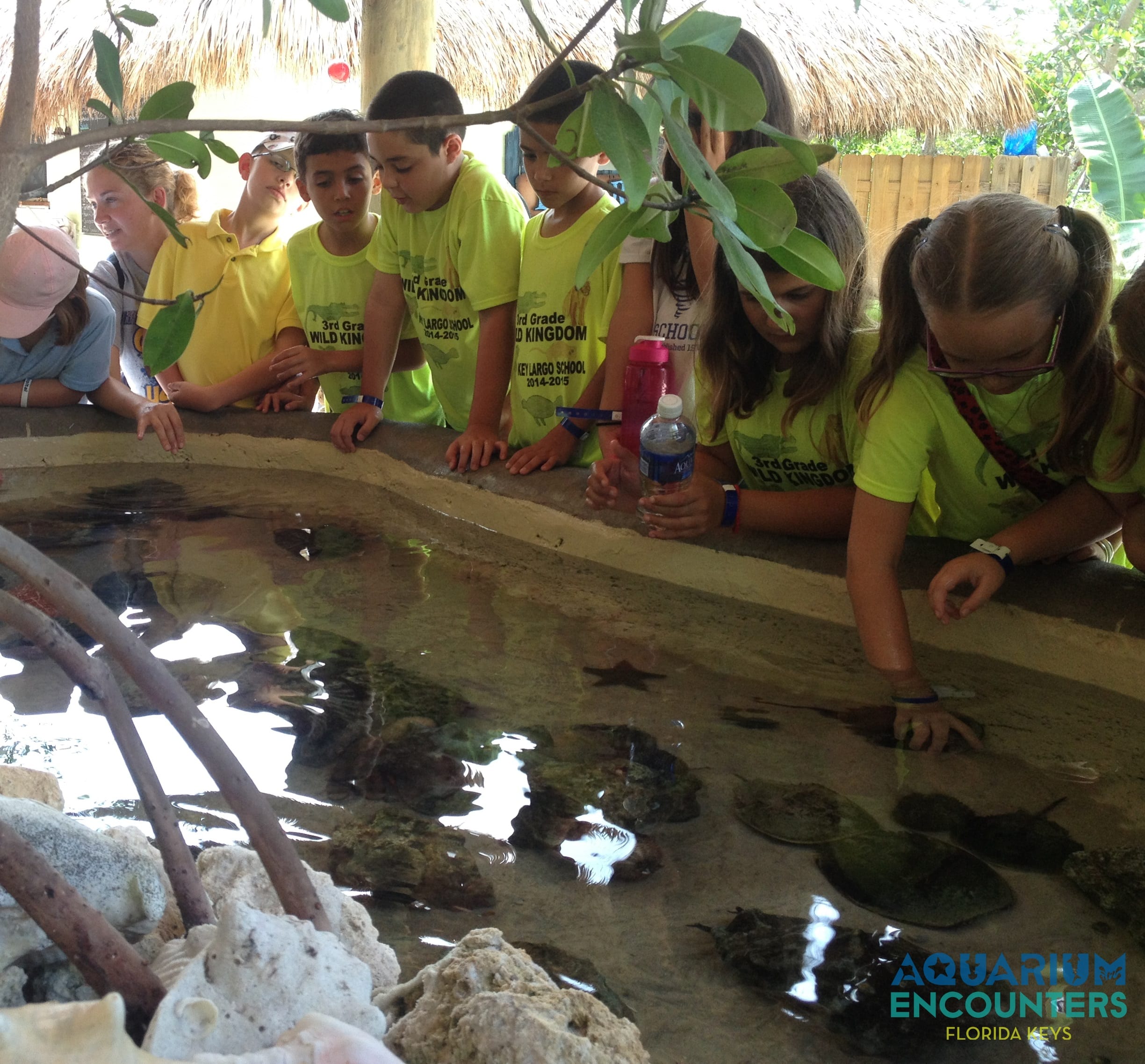 Schools & Field Trips - Florida Keys Aquarium Encounters